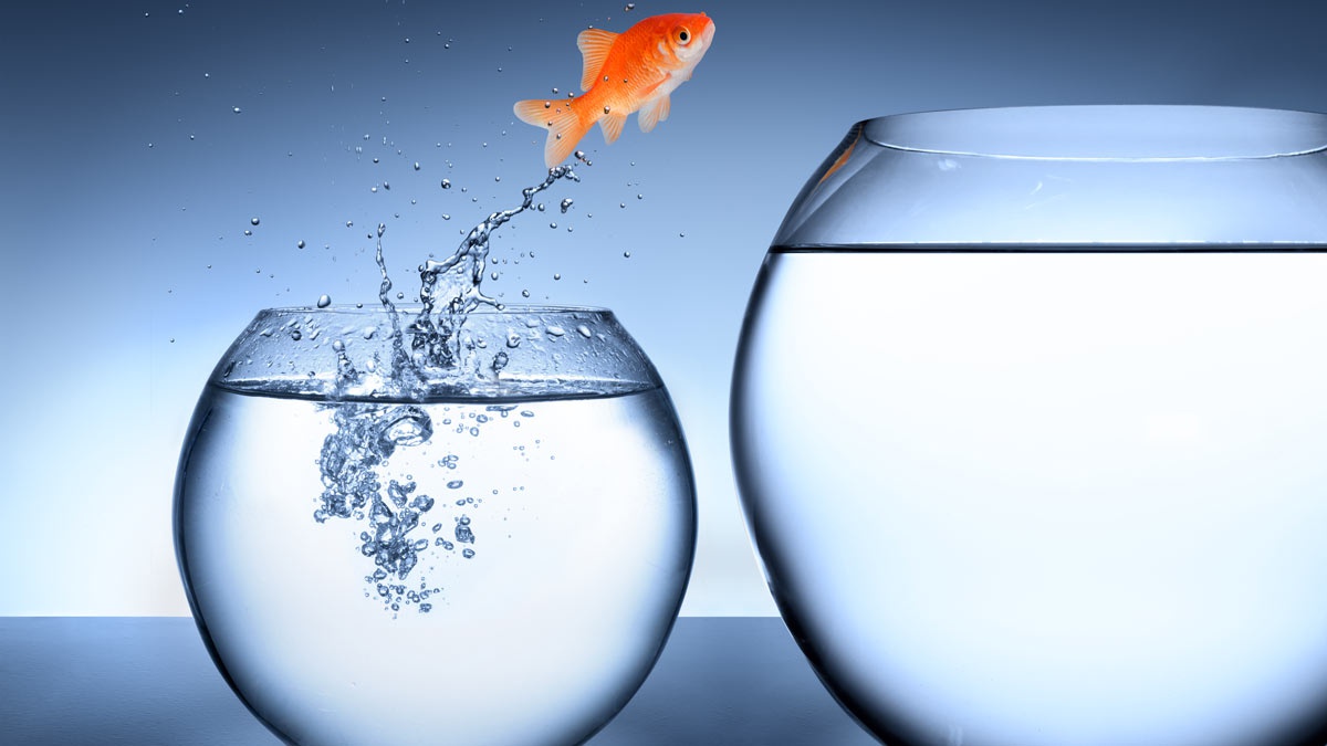 Teoria e pragmatica del cambiamento | Psicologia Contemporanea