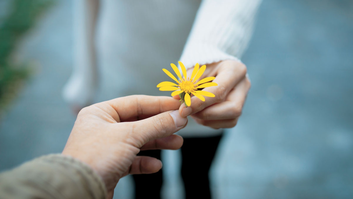 Il partner ideale? Una persona gentile | Psicologia Contemporanea